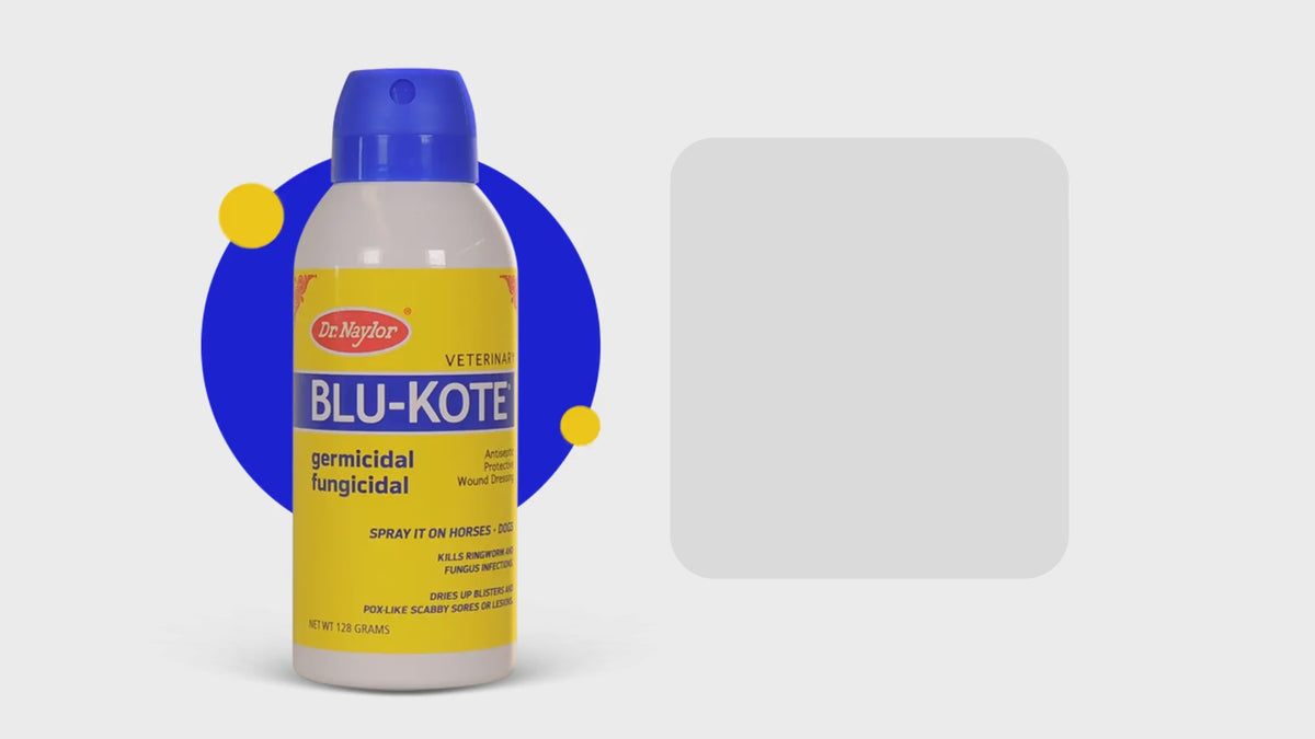 Dr. Naylor Blu-Kote Aerosol (128 Gram) - Fast Drying Antiseptic Wound ...